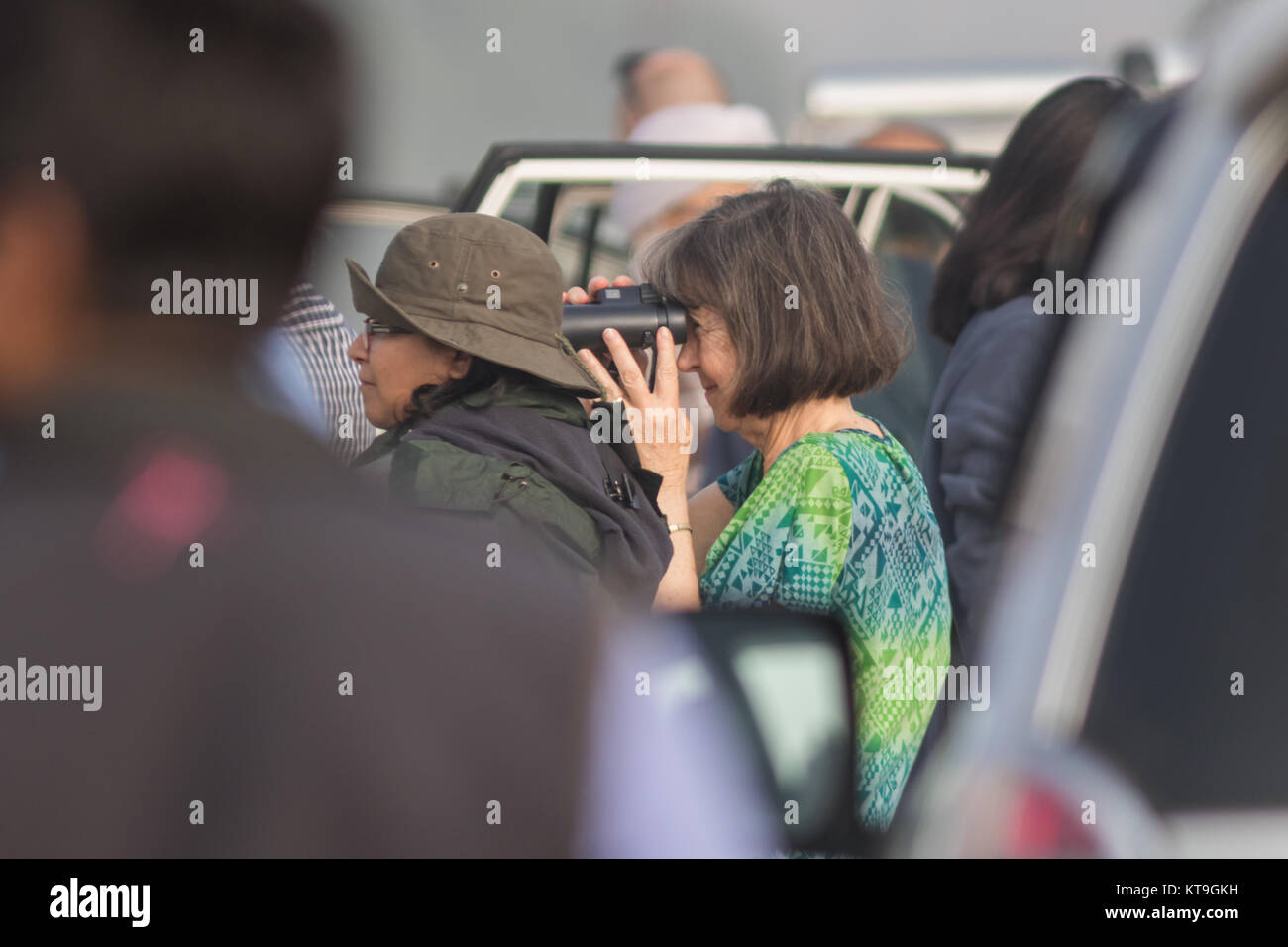 Carol Inskipp birdwatching in Uttar Pradesh Stock Photo - Alamy