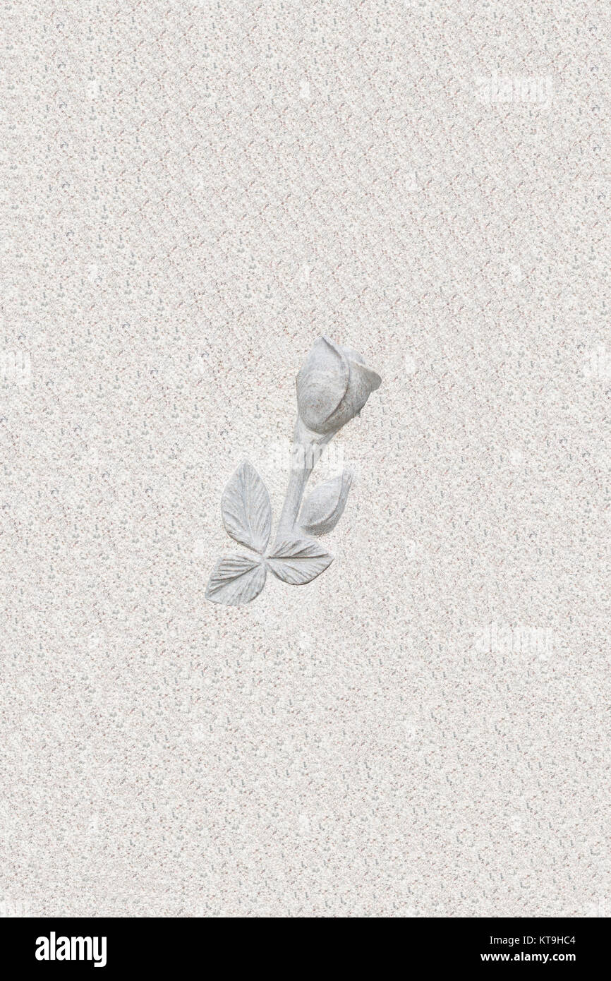 rose on structure plaster,detail Stock Photo - Alamy