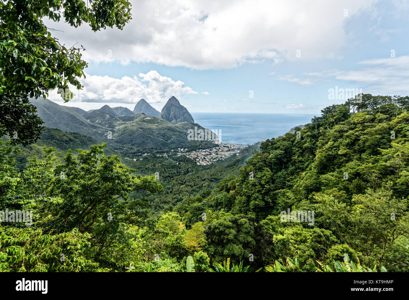 Pitonsforest hi-res stock photography and images - Alamy