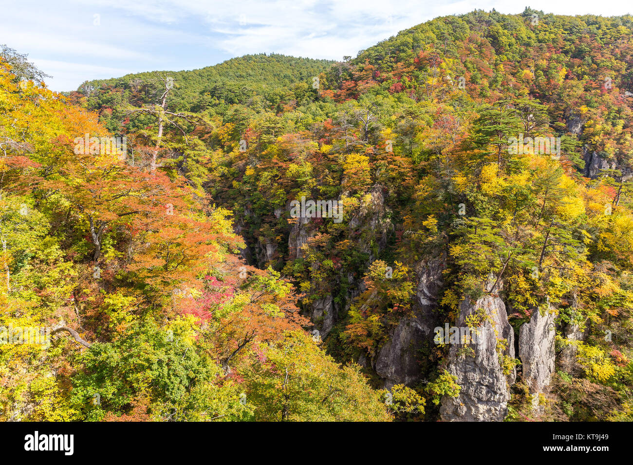 Autumn foliage on the cliff Stock Photo - Alamy