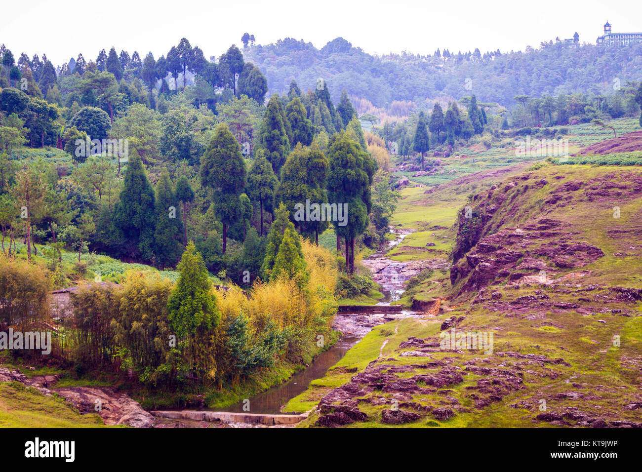 View of shillong forest hi-res stock photography and images - Alamy