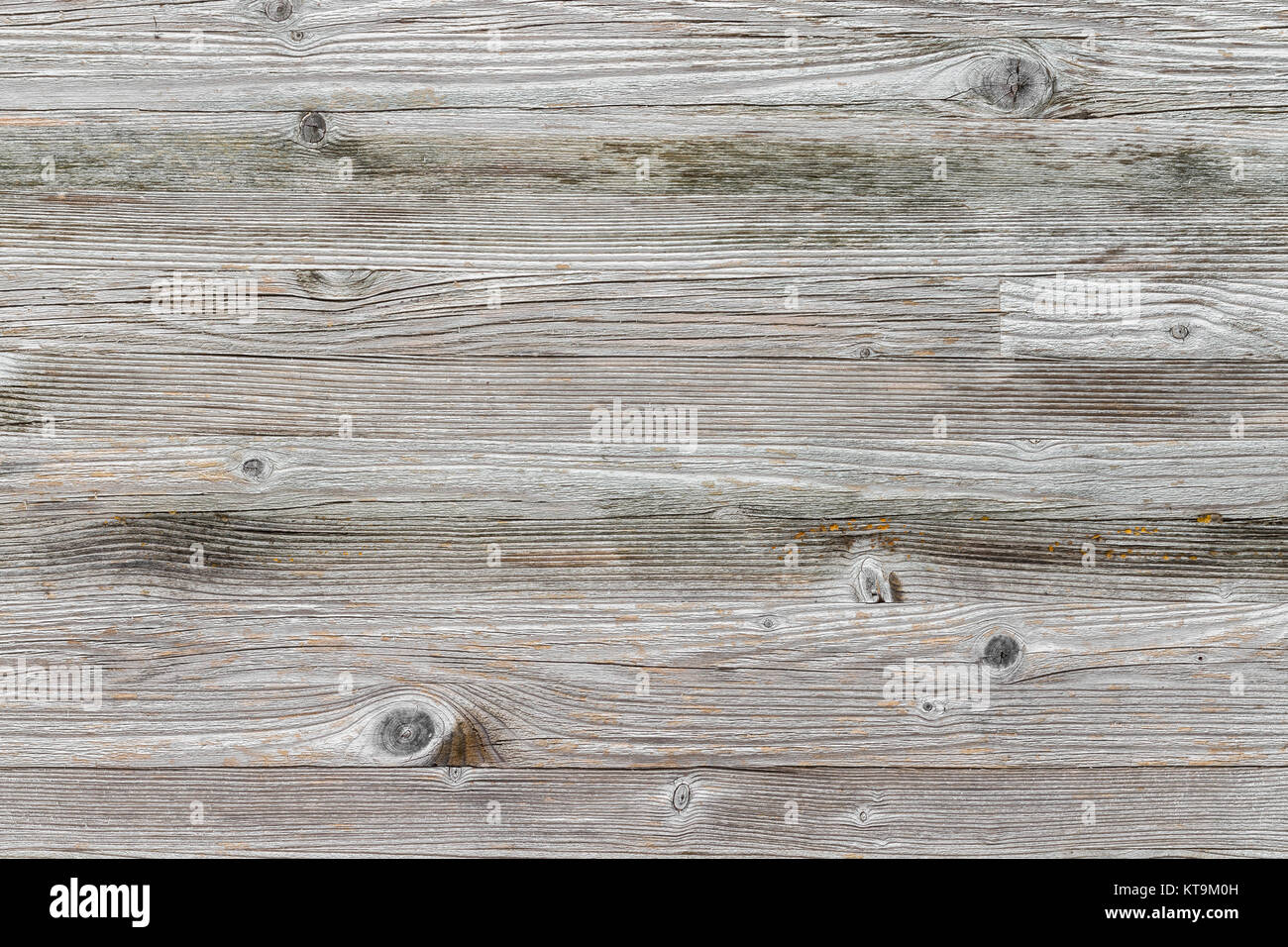 Light wood background Stock Photo - Alamy