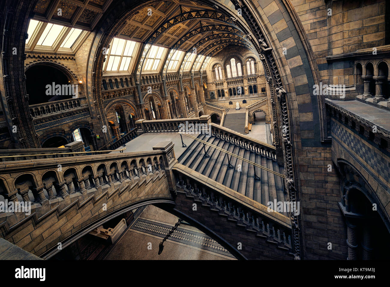 Upper view of the Hintze Hall inside the Natural History Museum, London ...