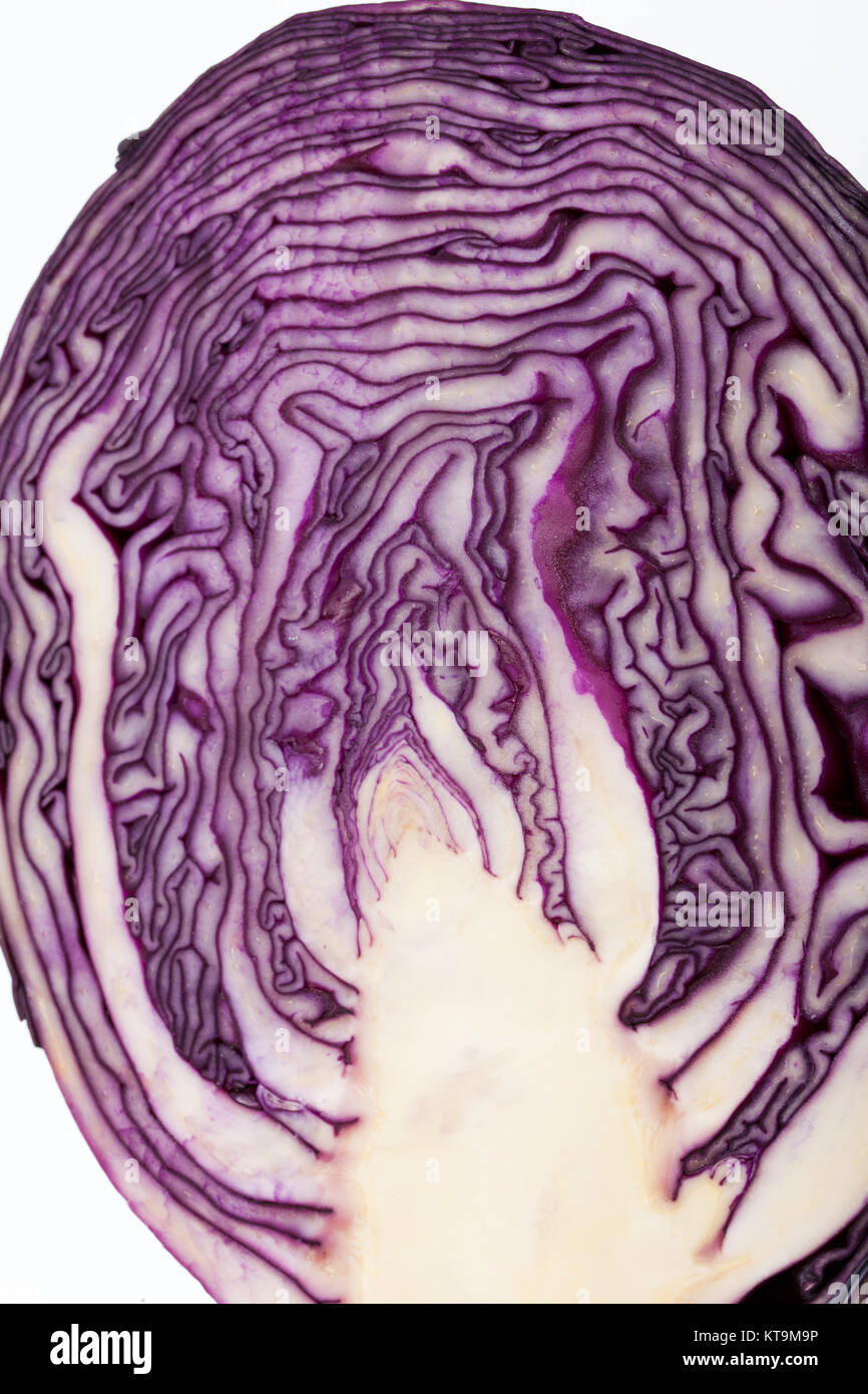 Red Cabbage cross section on White Background Stock Photo - Alamy