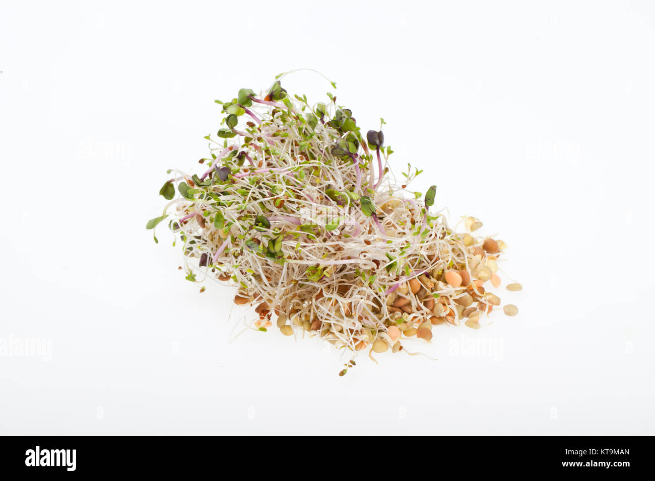 The healthy diet. Fresh sprouts isolated on white background Stock ...