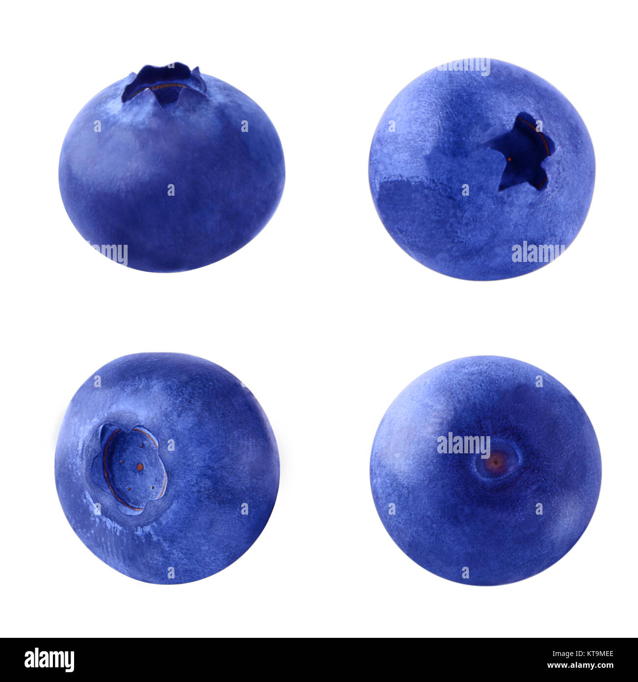 Blueberry. Collection of berries isolated on white background with ...