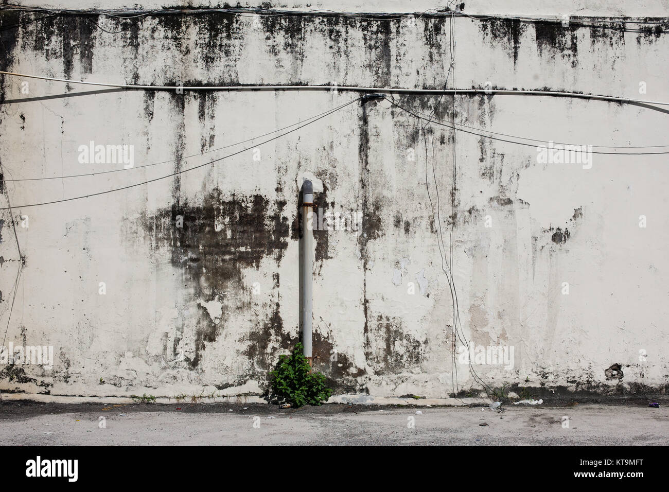 Rusty dirty moldy wall outdoor Stock Photo - Alamy