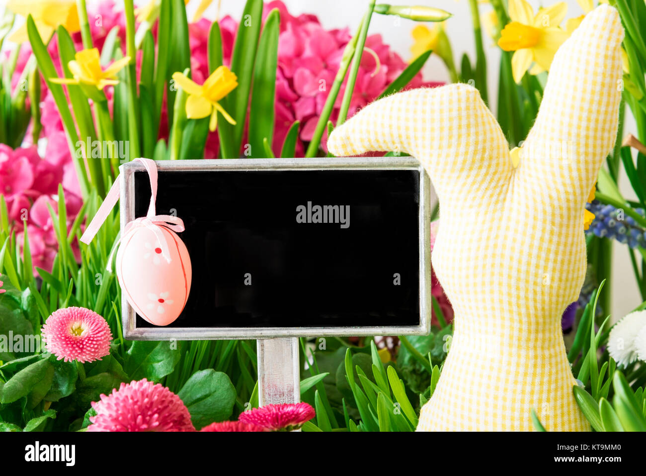 Sign With Copy Space For Advertisement. Colorful Spring Flowers Like ...