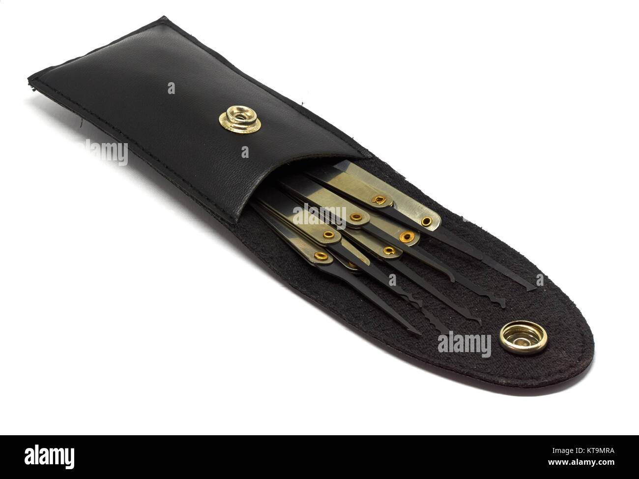 silver Lock picks isolated on white background Stock Photo - Alamy