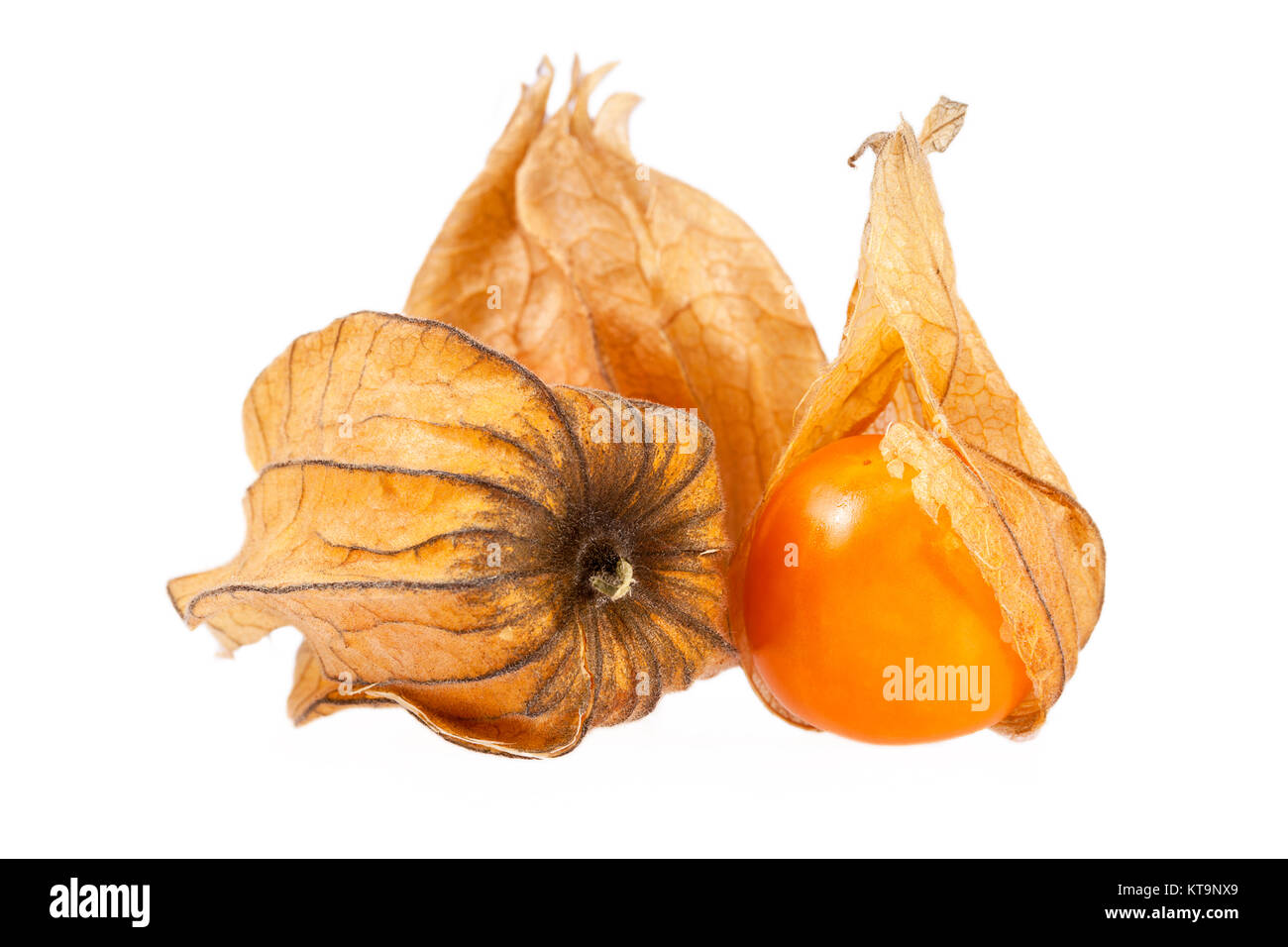 Fruits Physalis ( Physalis peruviana) isolated on white background ...