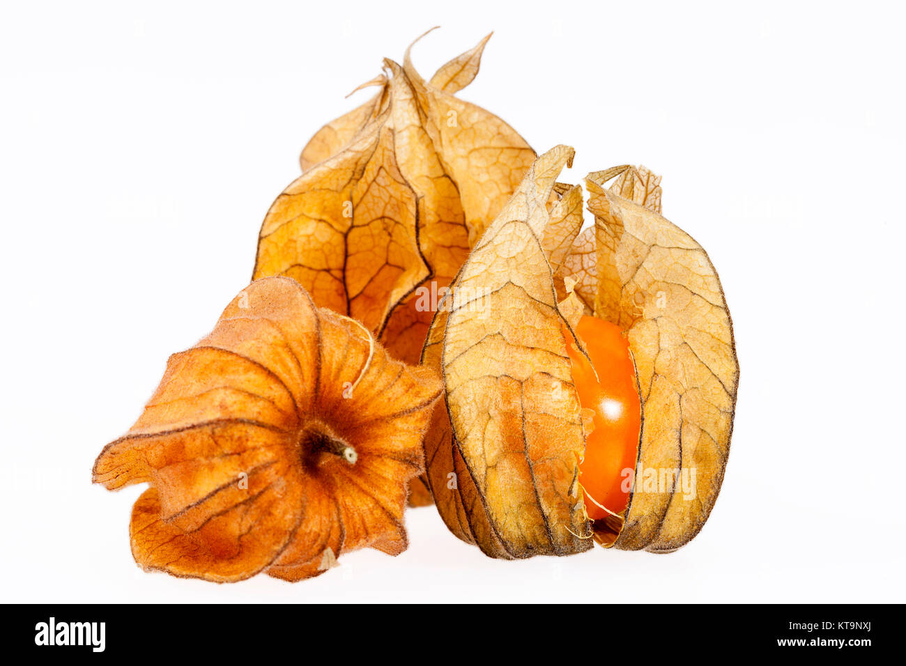 Fruits Physalis ( Physalis peruviana) isolated on white background ...