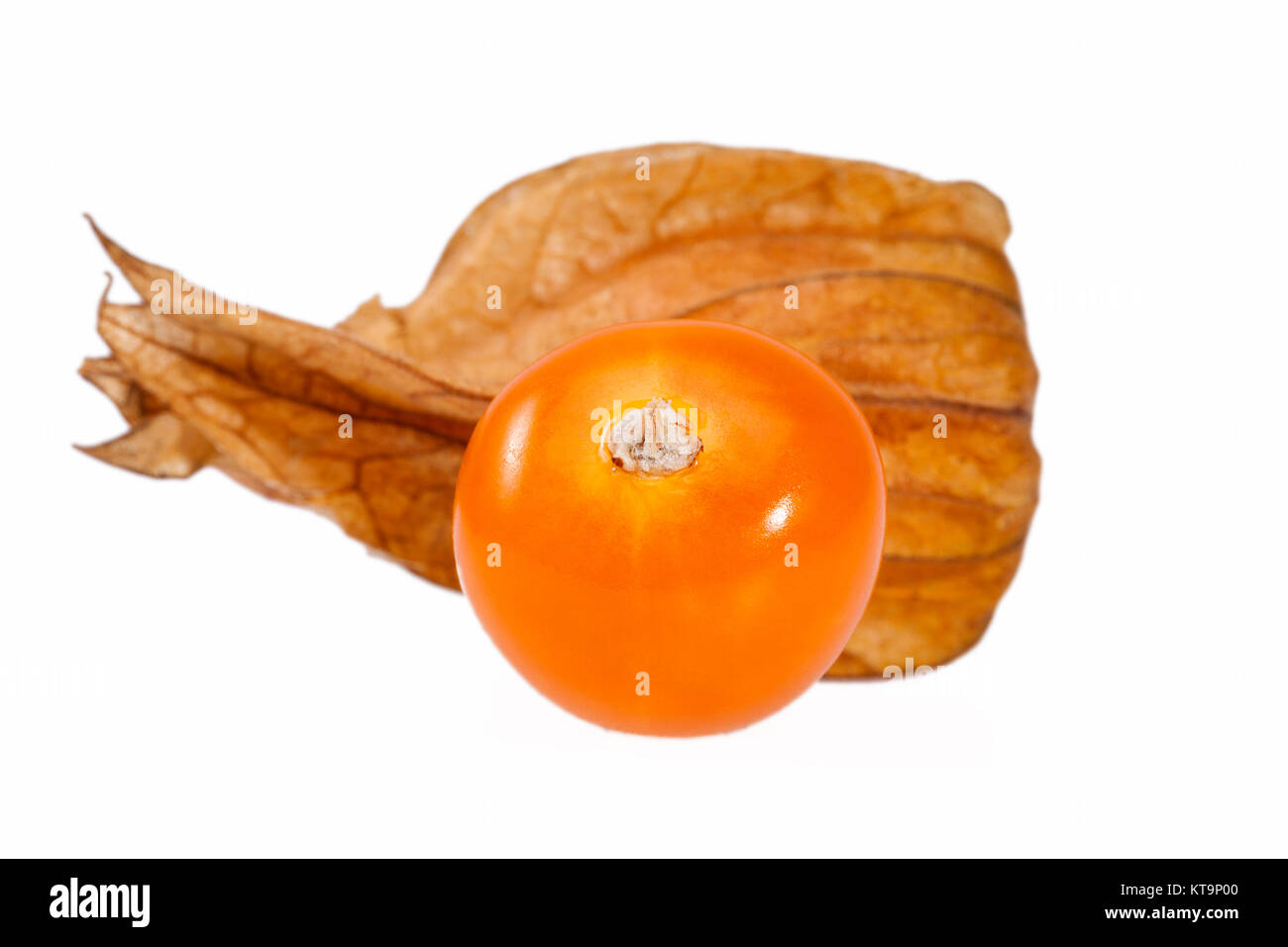 Fruits Physalis ( Physalis peruviana) isolated on white background ...