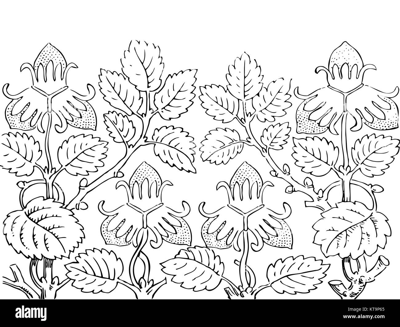 Hand drawn illustration of twig with flowers and leaves Baroque Stock ...