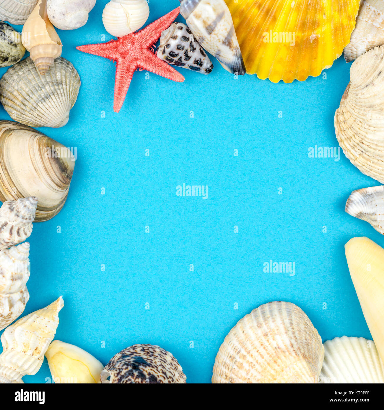 abstract background made of shells blue background Stock Photo - Alamy