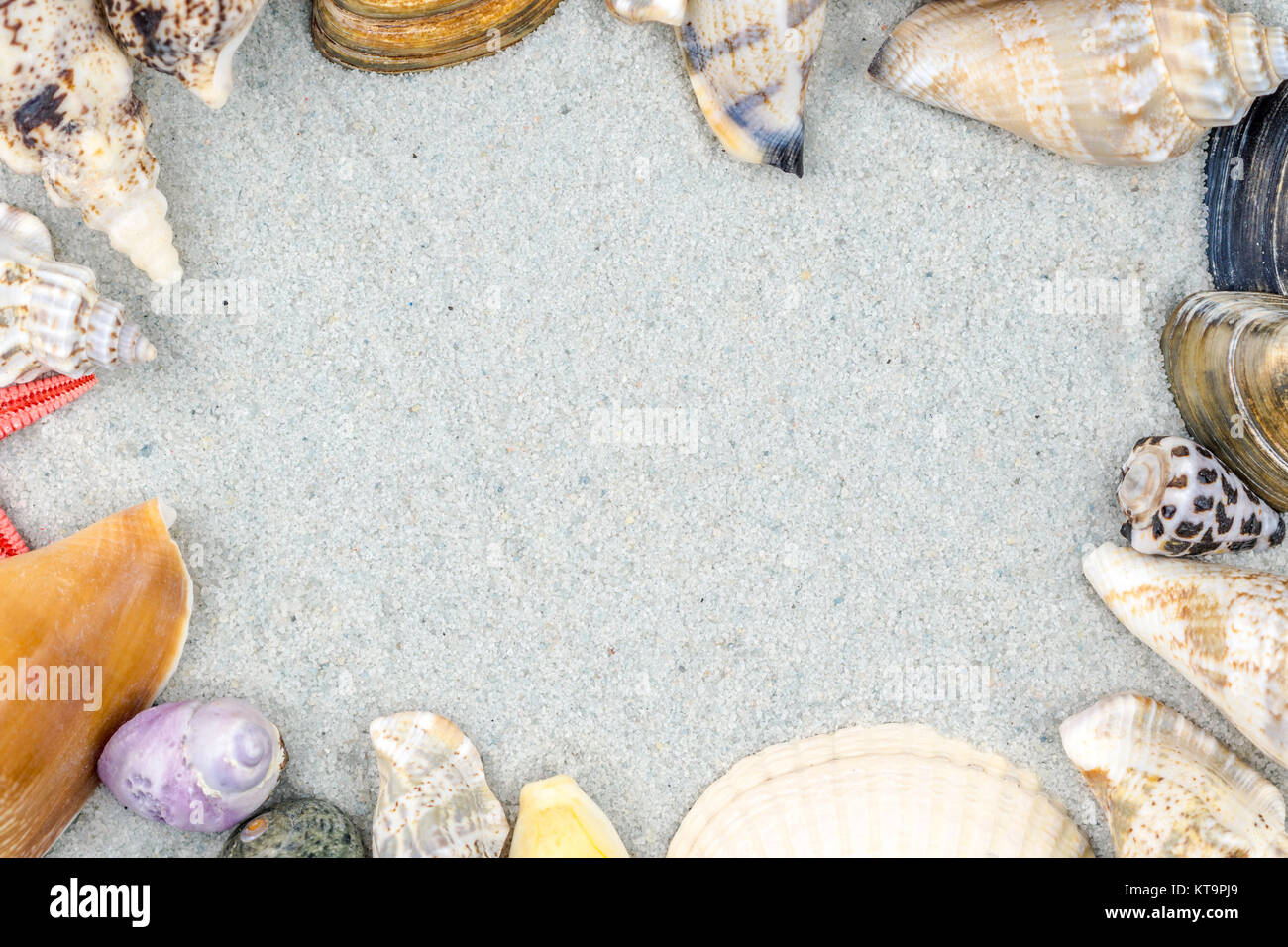 abstract background made of shells on sand Stock Photo - Alamy