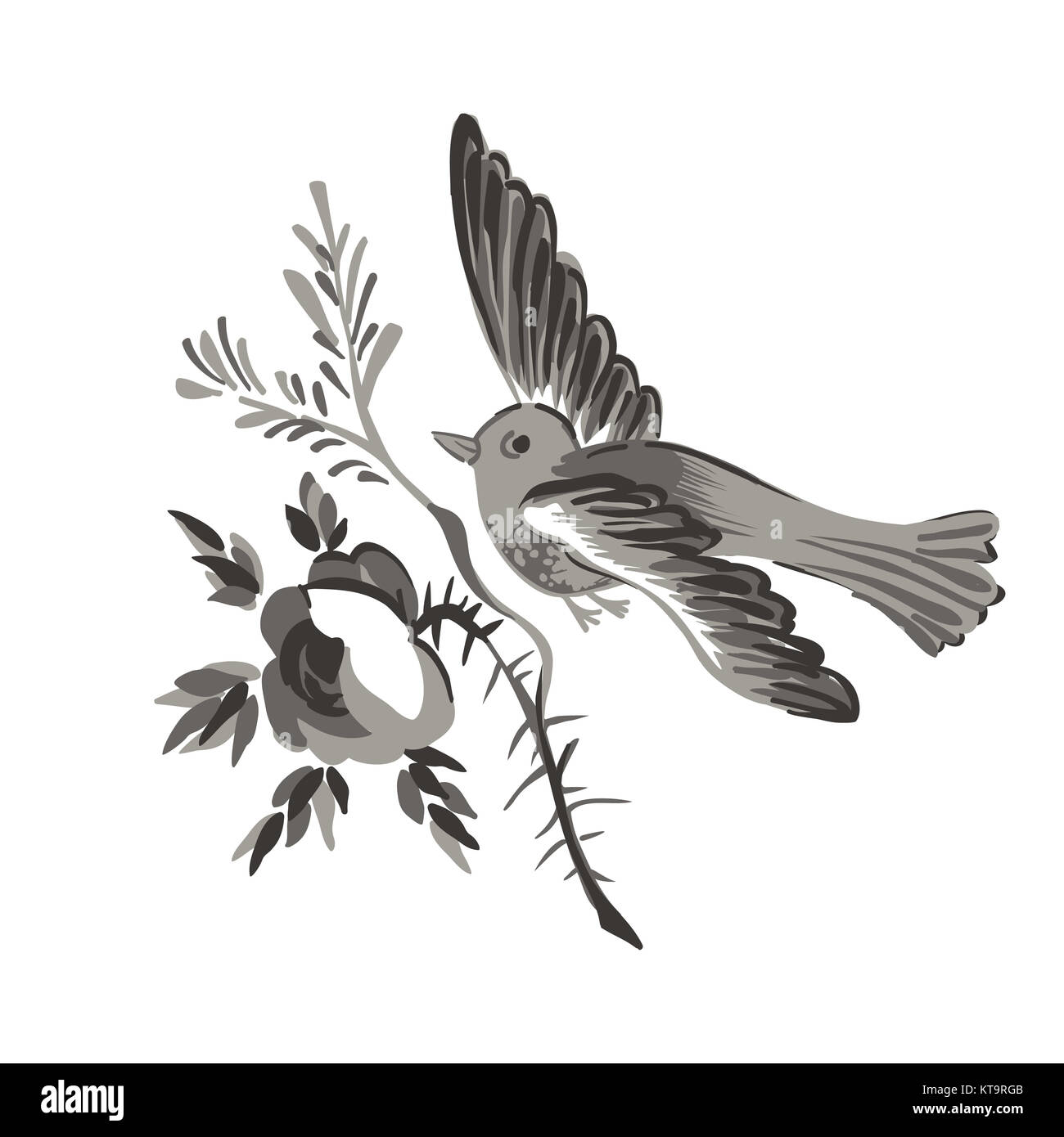 Flying bird with branch of a rose isolated on white, diagonal el Stock ...