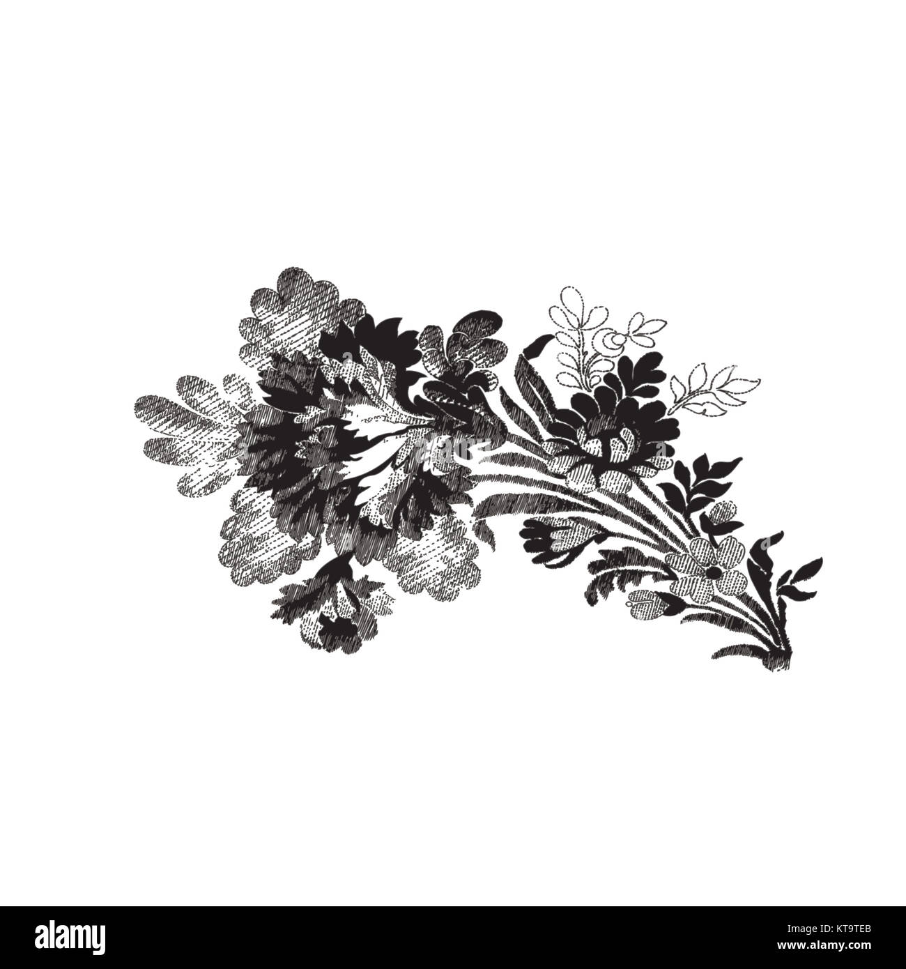 beautiful hand drawn flowers bouquet Stock Photo - Alamy
