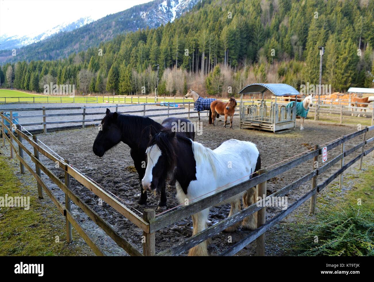 Perde hi-res stock photography and images - Alamy