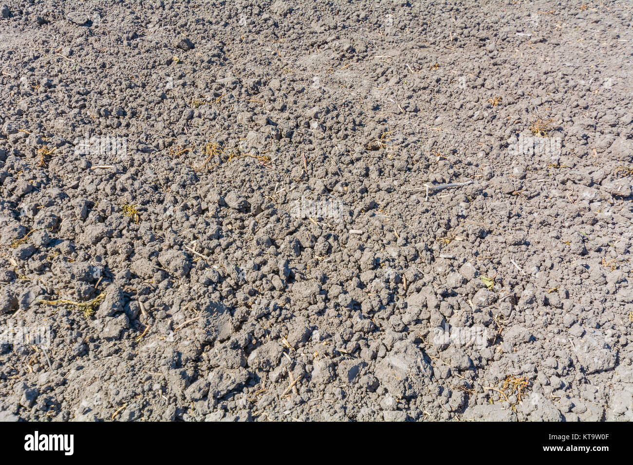 Land prepared for seeding Stock Photo - Alamy