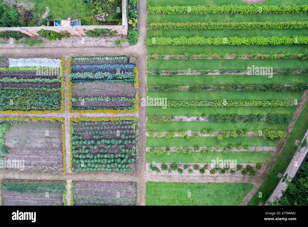 Overview of neatly planted garden rows hi-res stock photography and ...