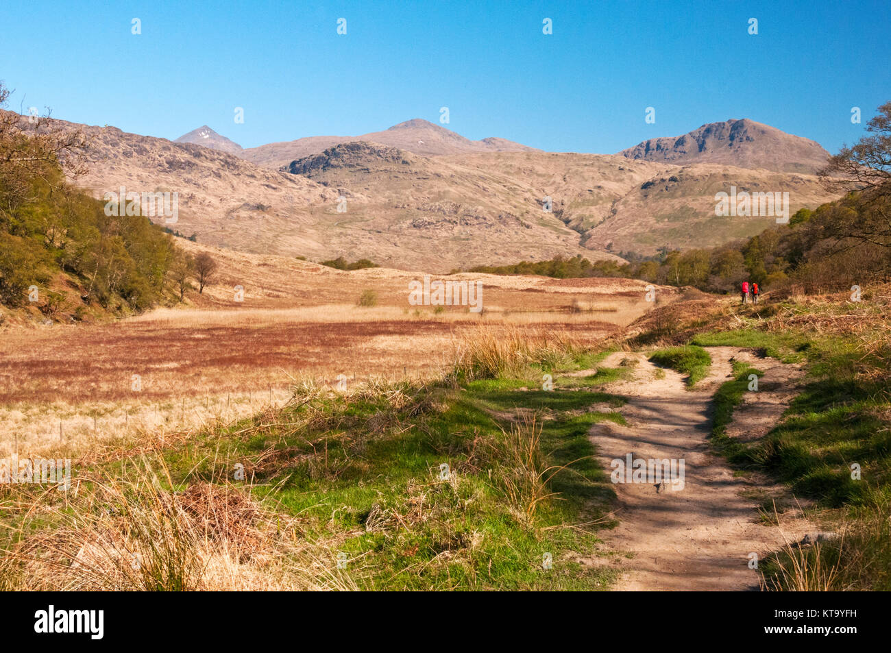 West Highland Way and scenery near Inverarnan, Scotland Stock Photo - Alamy