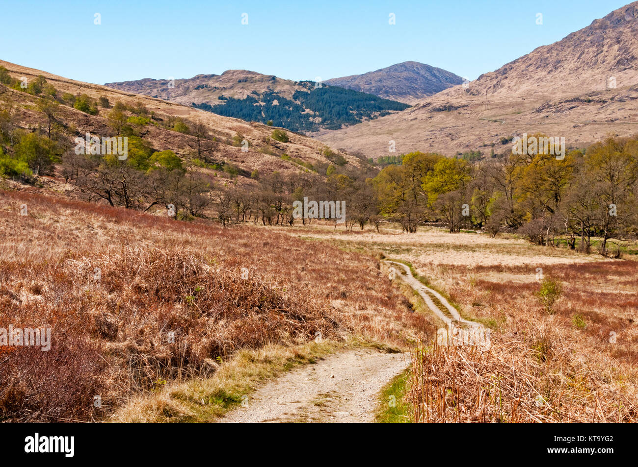 Scenery of West Highland Way near Inverarnan, Scotland Stock Photo - Alamy