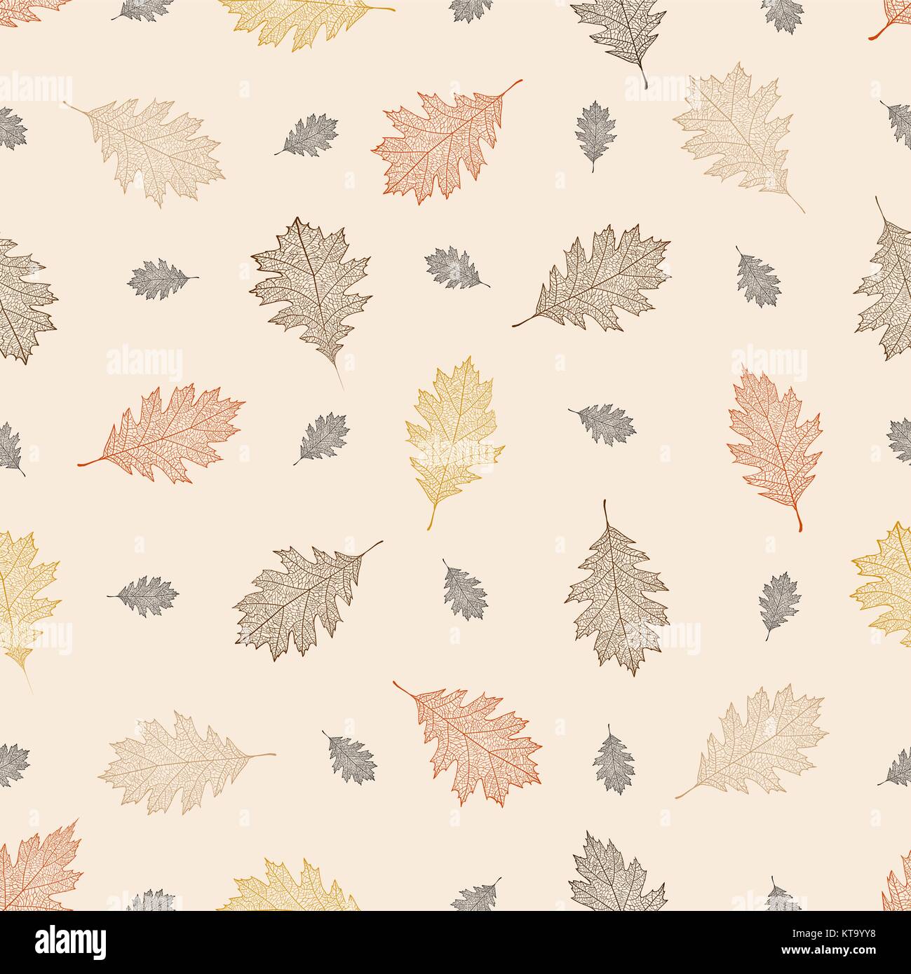 Northern red oak tree Stock Vector Images - Alamy