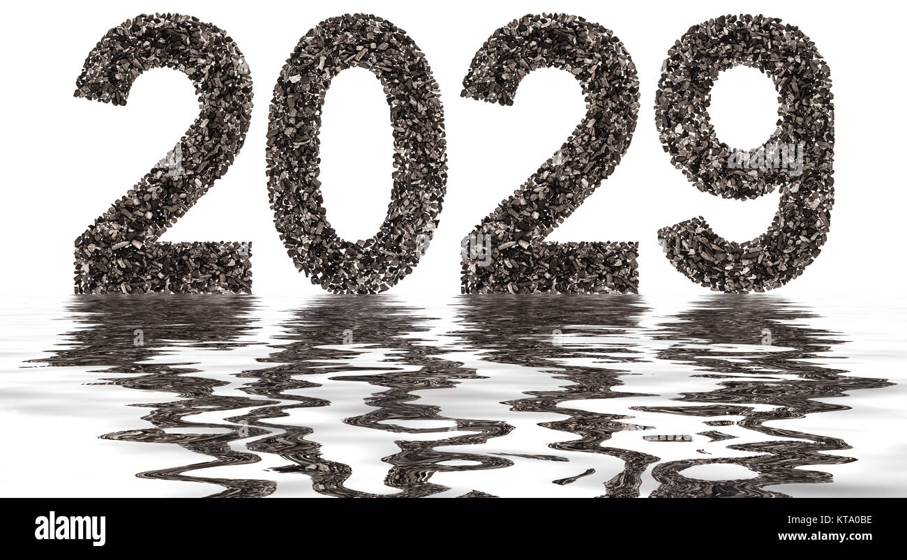 Numeral 2029 from black a natural charcoal, isolated on white ...