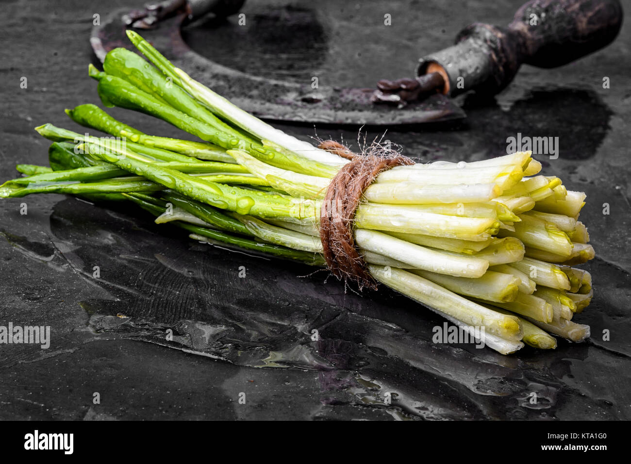 Bunch wild garlic and retro knife on dark background Stock Photo - Alamy