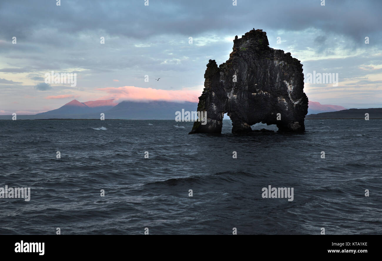 Drinking dragon, exposed rock in Iceland, seashore of the Atlantic ...