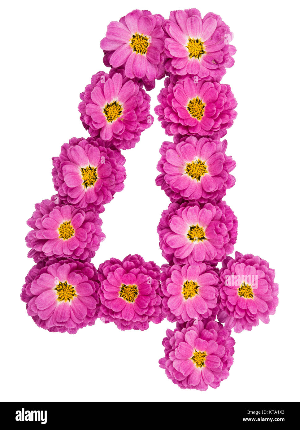 Arabic numeral 4, four, from flowers of chrysanthemum, isolated on ...