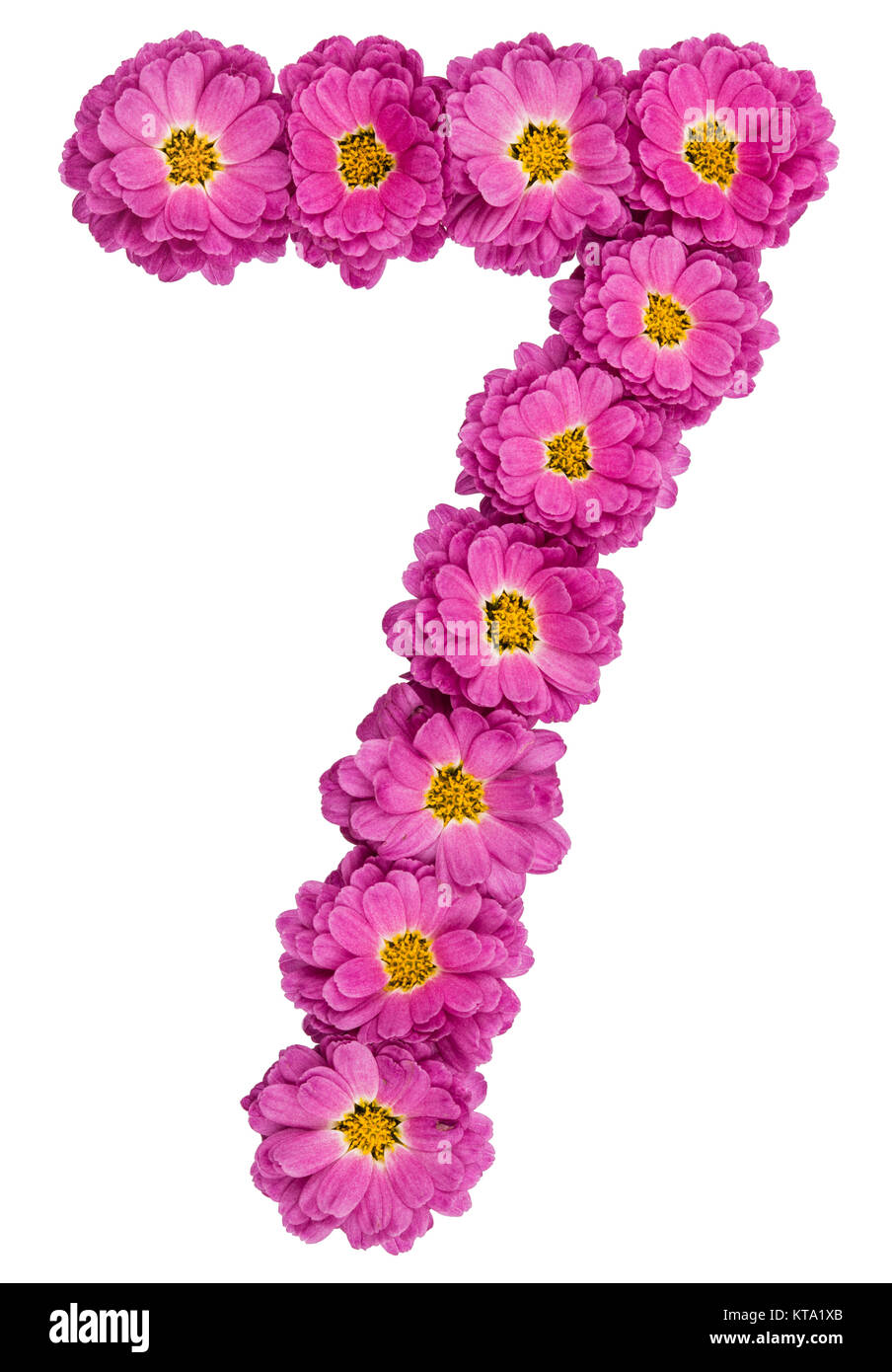 Arabic numeral 7, seven, from flowers of chrysanthemum, isolated on ...