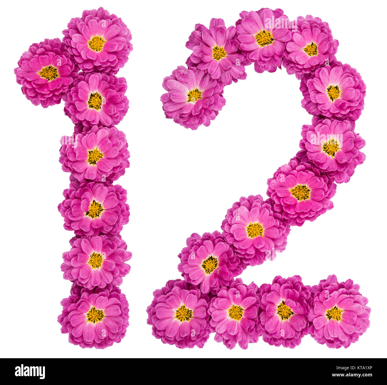 Arabic numeral 12, twelve, from flowers of chrysanthemum, isolated on ...