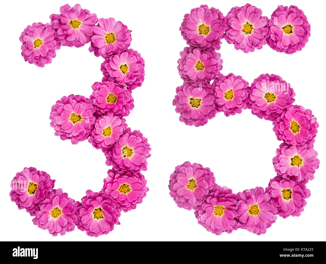 Arabic numeral 35, thirty five, from flowers of chrysanthemum, isolated ...