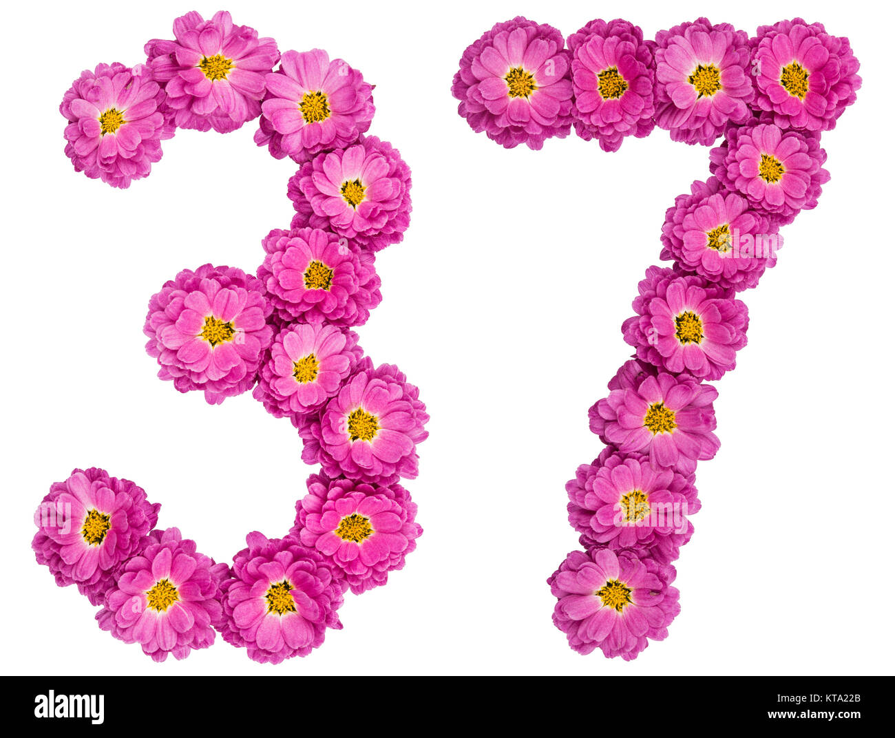 Arabic numeral 37, thirty seven, from flowers of chrysanthemum ...