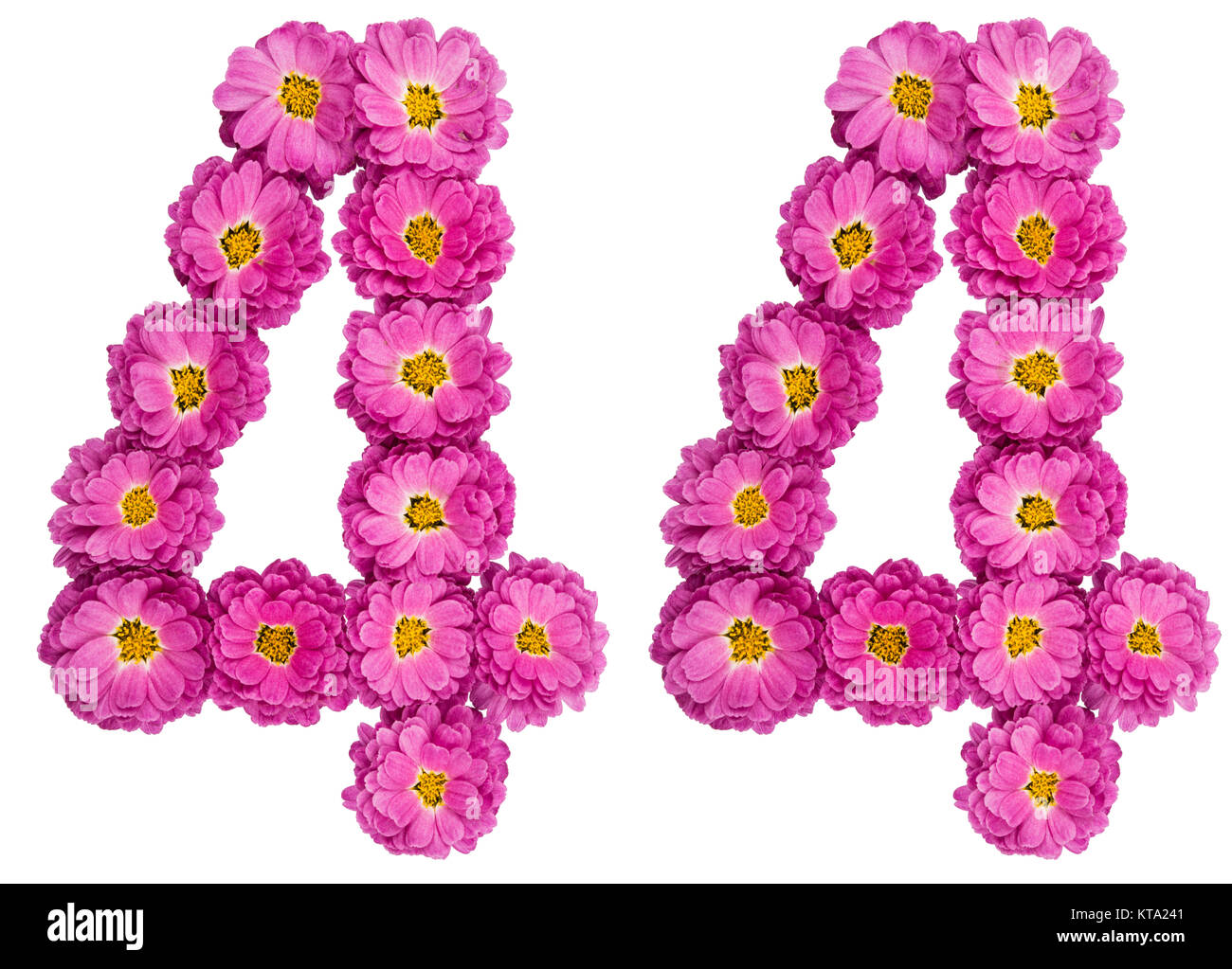 Arabic numeral 44, forty four, from flowers of chrysanthemum, isolated ...