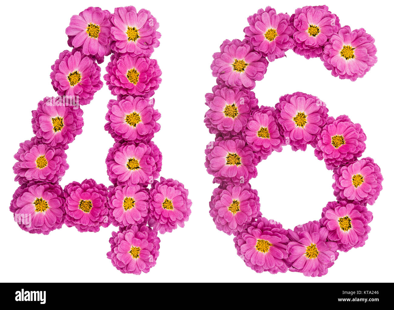 Arabic numeral 46, forty six, from flowers of chrysanthemum, isolated ...