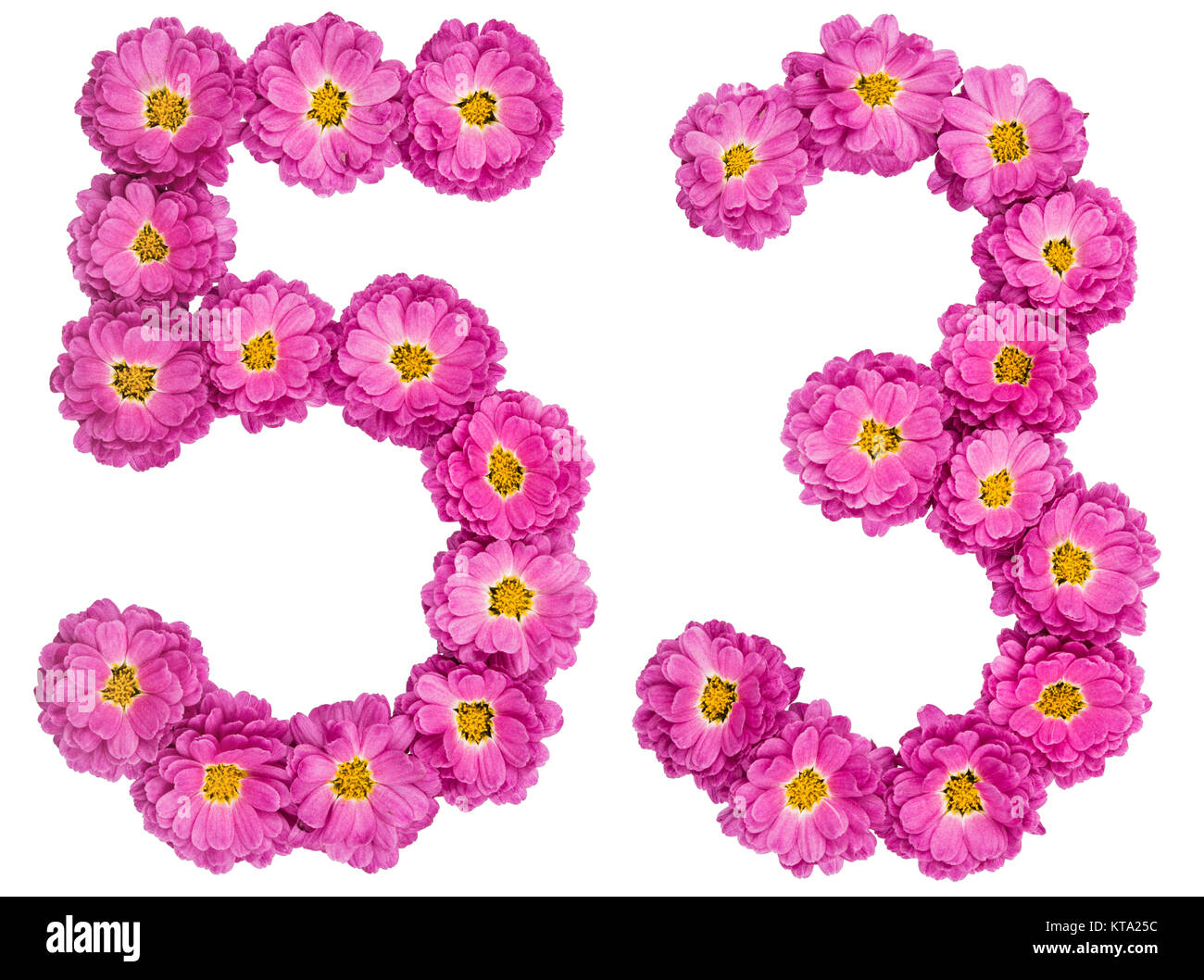 Arabic numeral 53, fifty three, from flowers of chrysanthemum, isolated ...