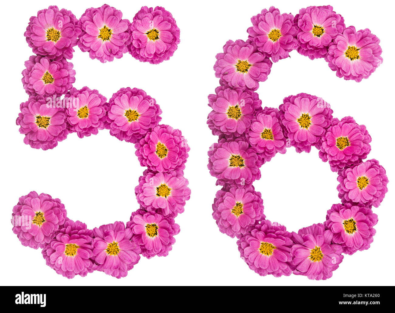 Arabic numeral 56, fifty six, from flowers of chrysanthemum, isolated ...