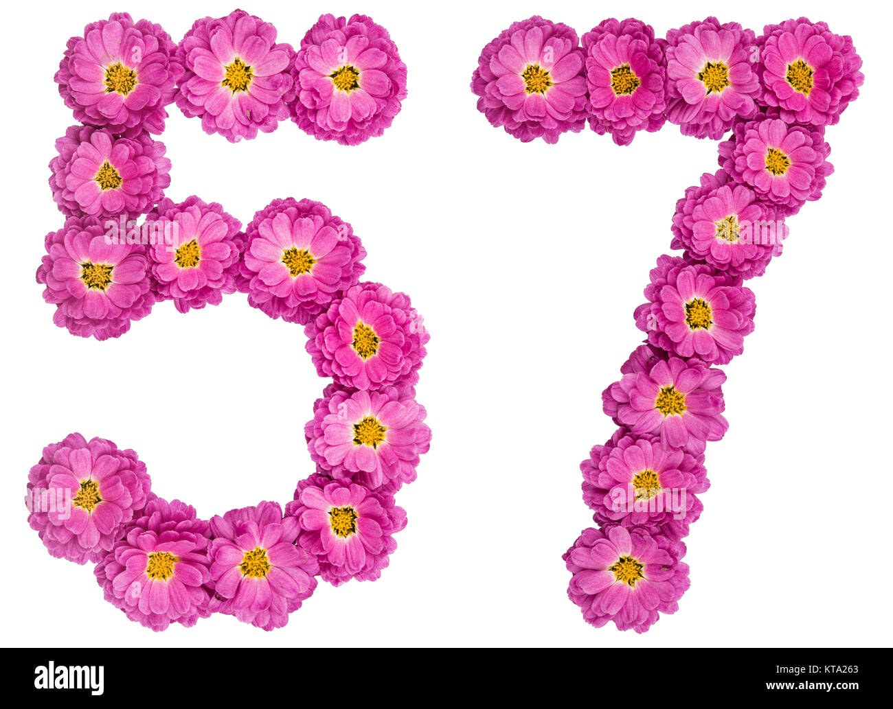 Arabic numeral 57, fifty seven, from flowers of chrysanthemum, isolated ...