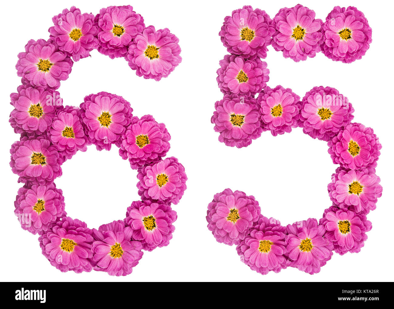 Arabic numeral 65, sixty five, from flowers of chrysanthemum, isolated ...