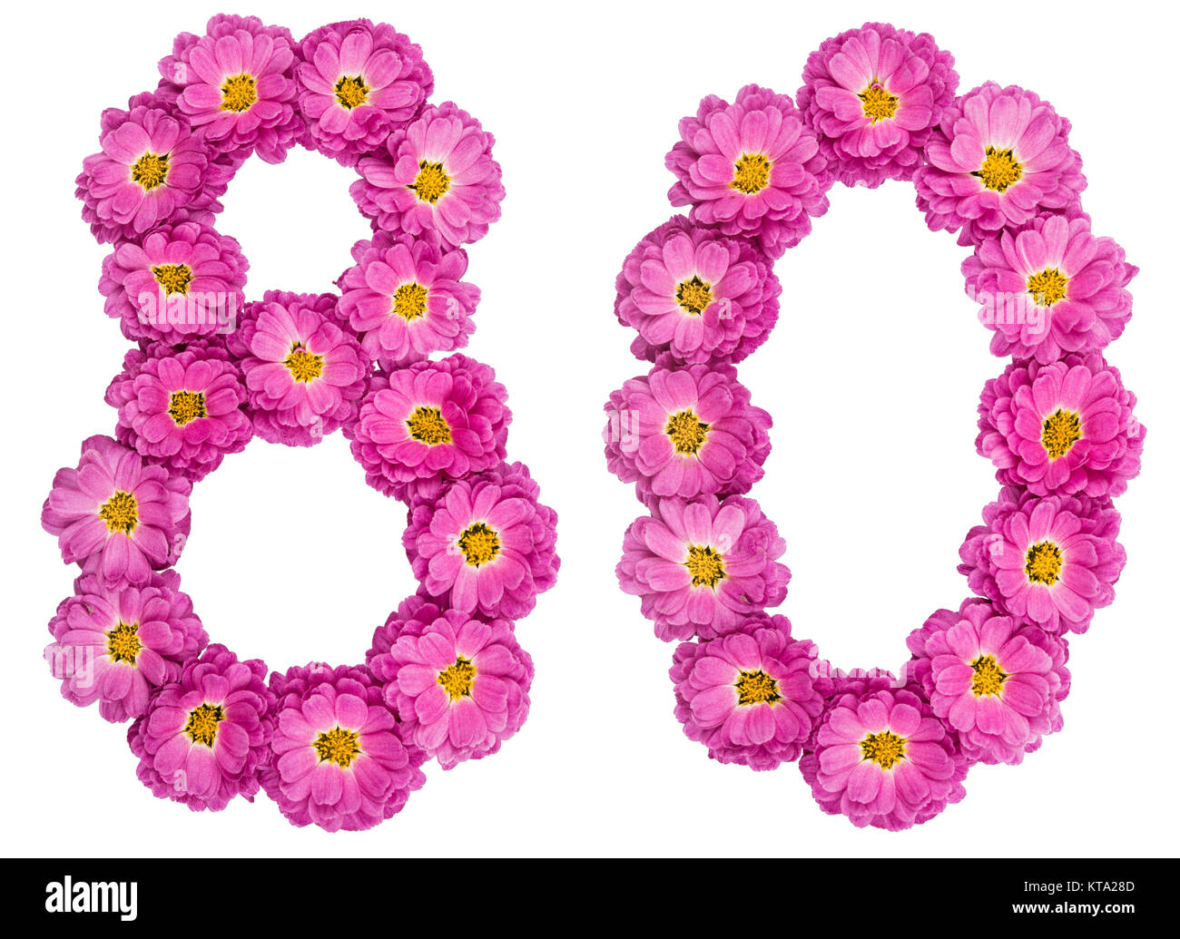 Arabic numeral 80, eighty, from flowers of chrysanthemum, isolated on ...