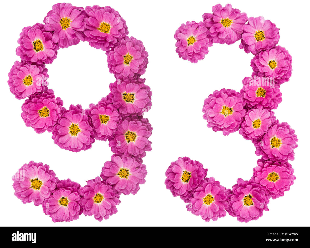 Arabic numeral 93, ninety three, from flowers of chrysanthemum ...