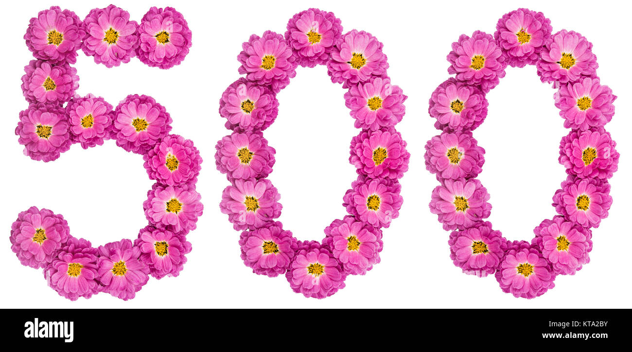 Arabic numeral 500, five hundred, from flowers of chrysanthemum ...