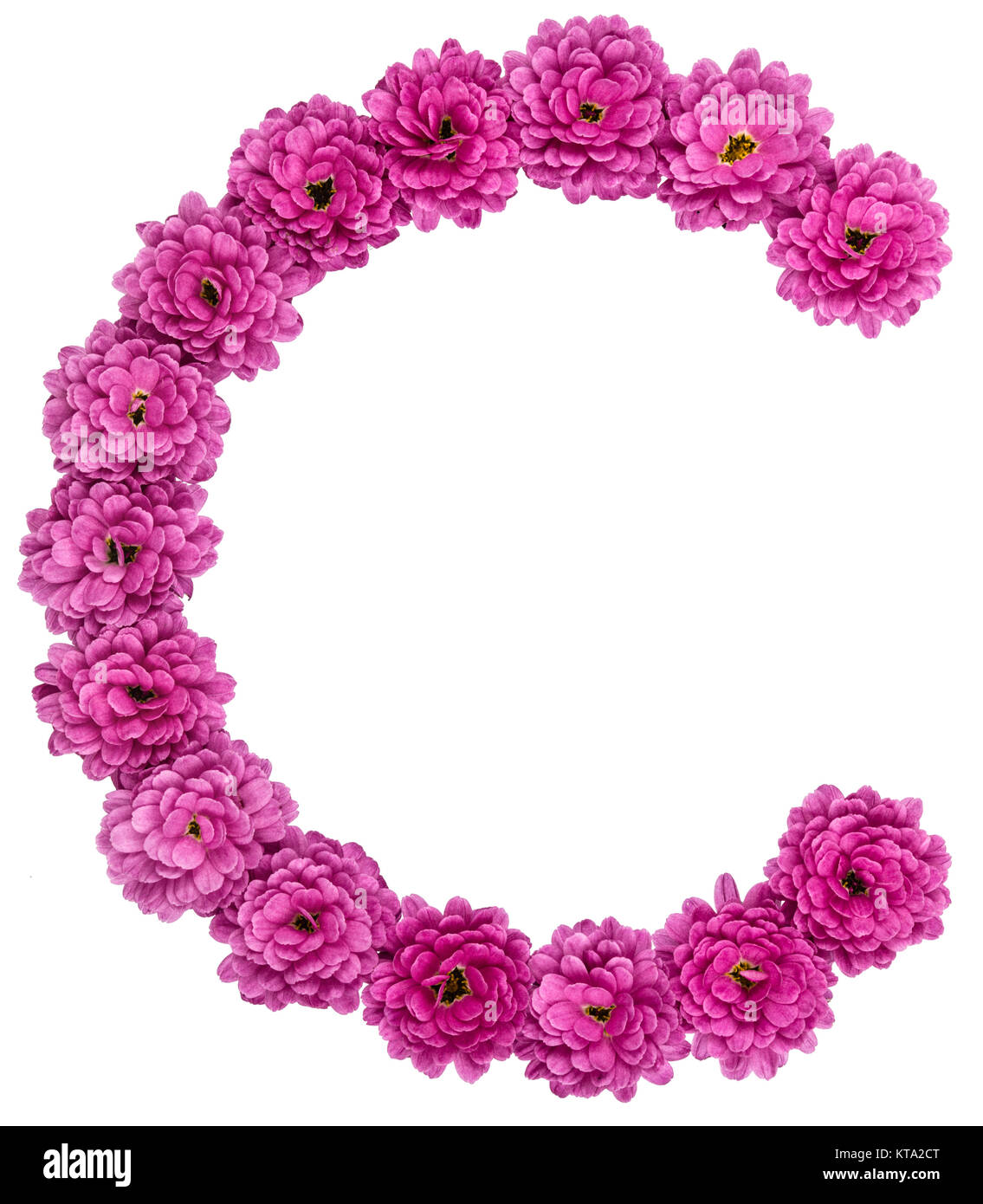 Letter C, alphabet from flowers of chrysanthemum, isolated on white ...