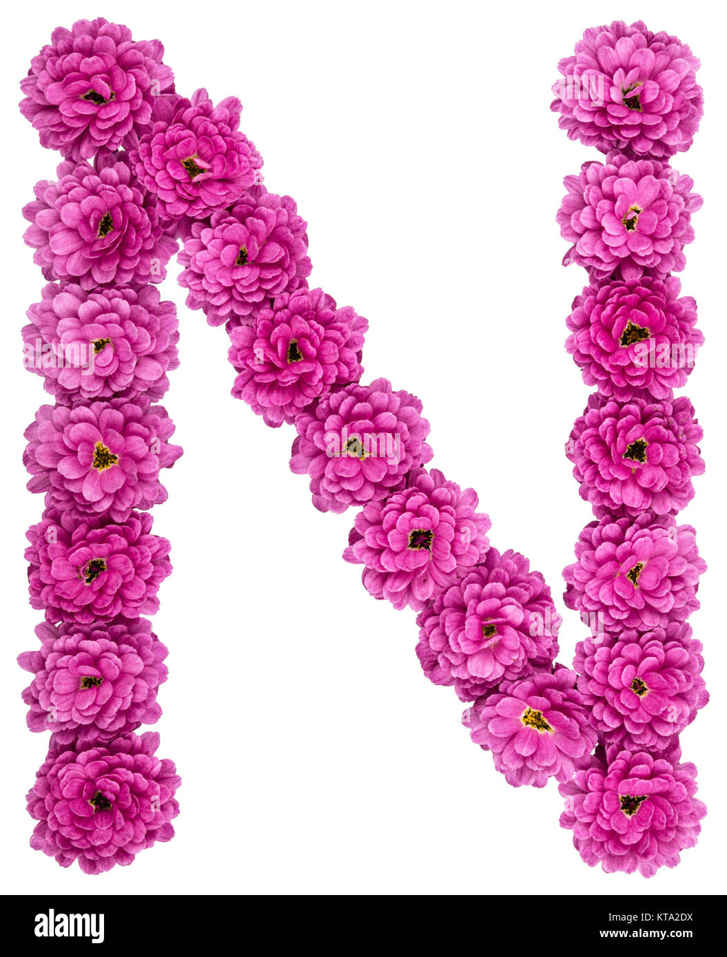 Letter n flowers hi-res stock photography and images - Alamy