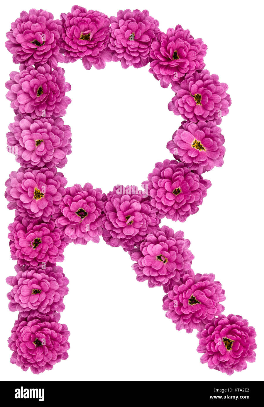 Letter r flowers hi-res stock photography and images - Alamy