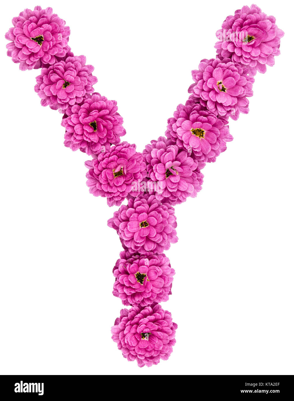 Floral font letter y hi-res stock photography and images - Alamy