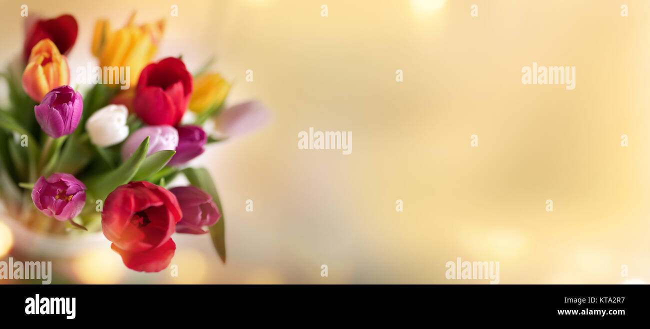 Sunny spring background with colorful tulips for mothers day or easter ...
