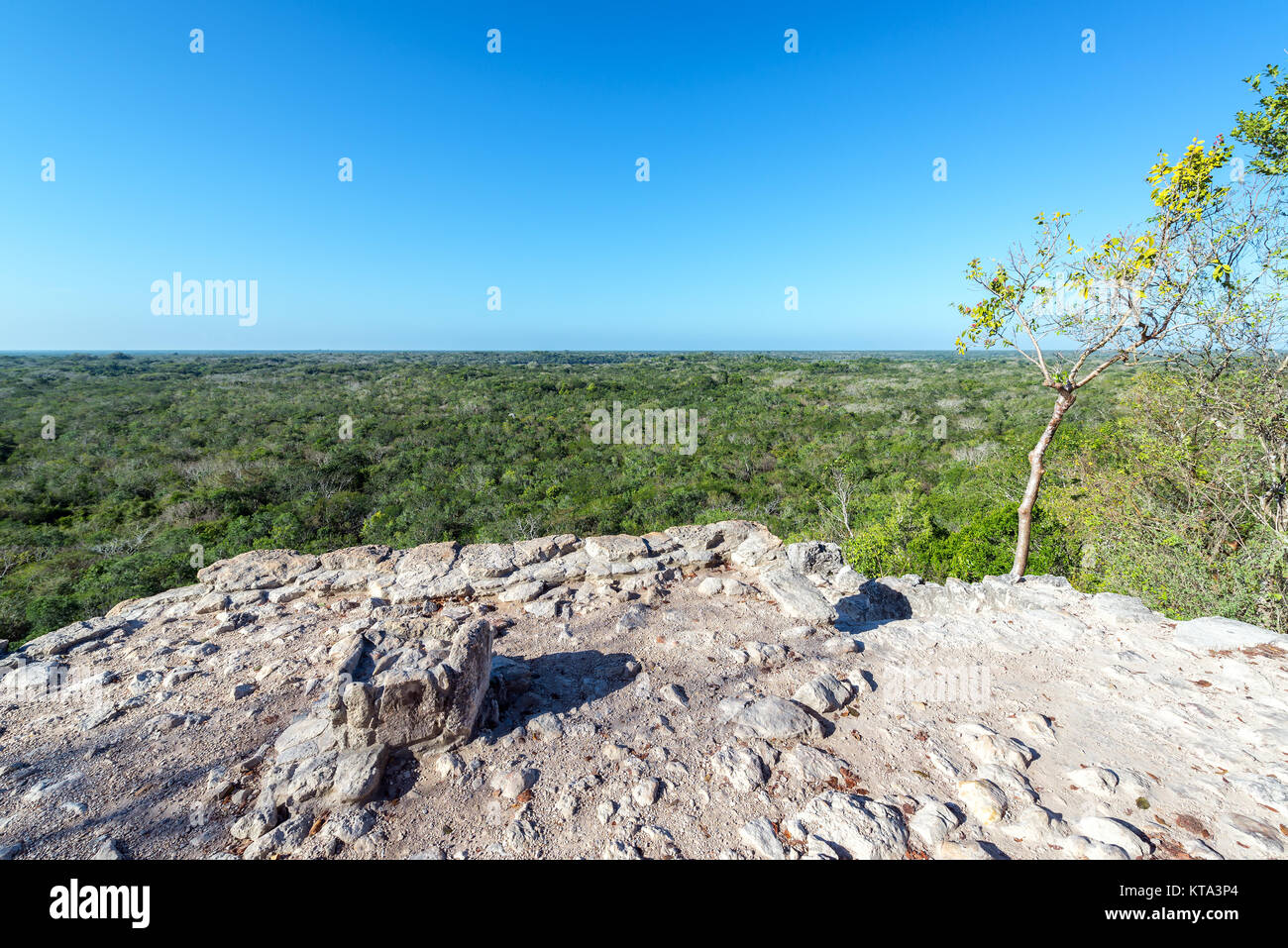 Top of Mayan Pyramid Stock Photo - Alamy